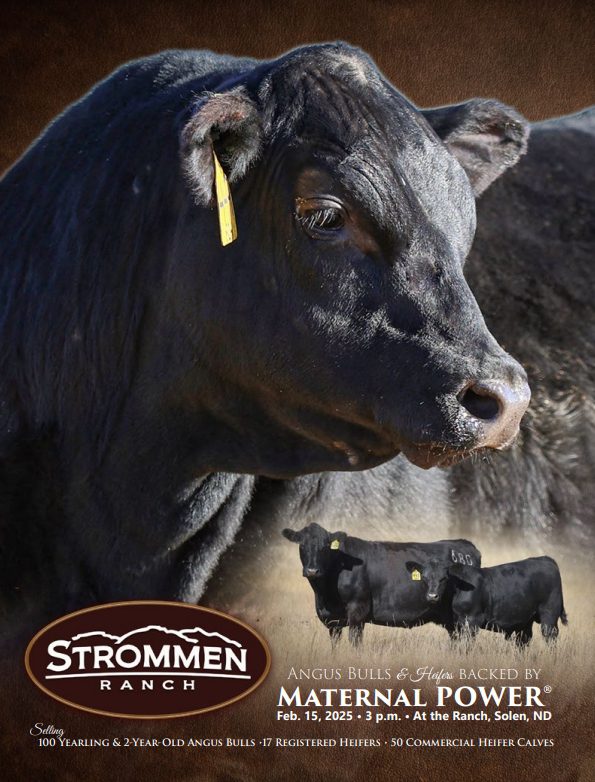 Bull Sale Catalogs - Bull Sale Catalog